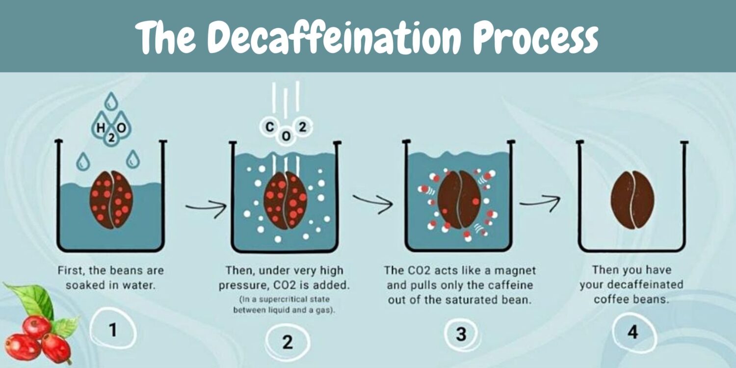 How is Decaf Coffee Made? – Alpine Mountain Coffee
